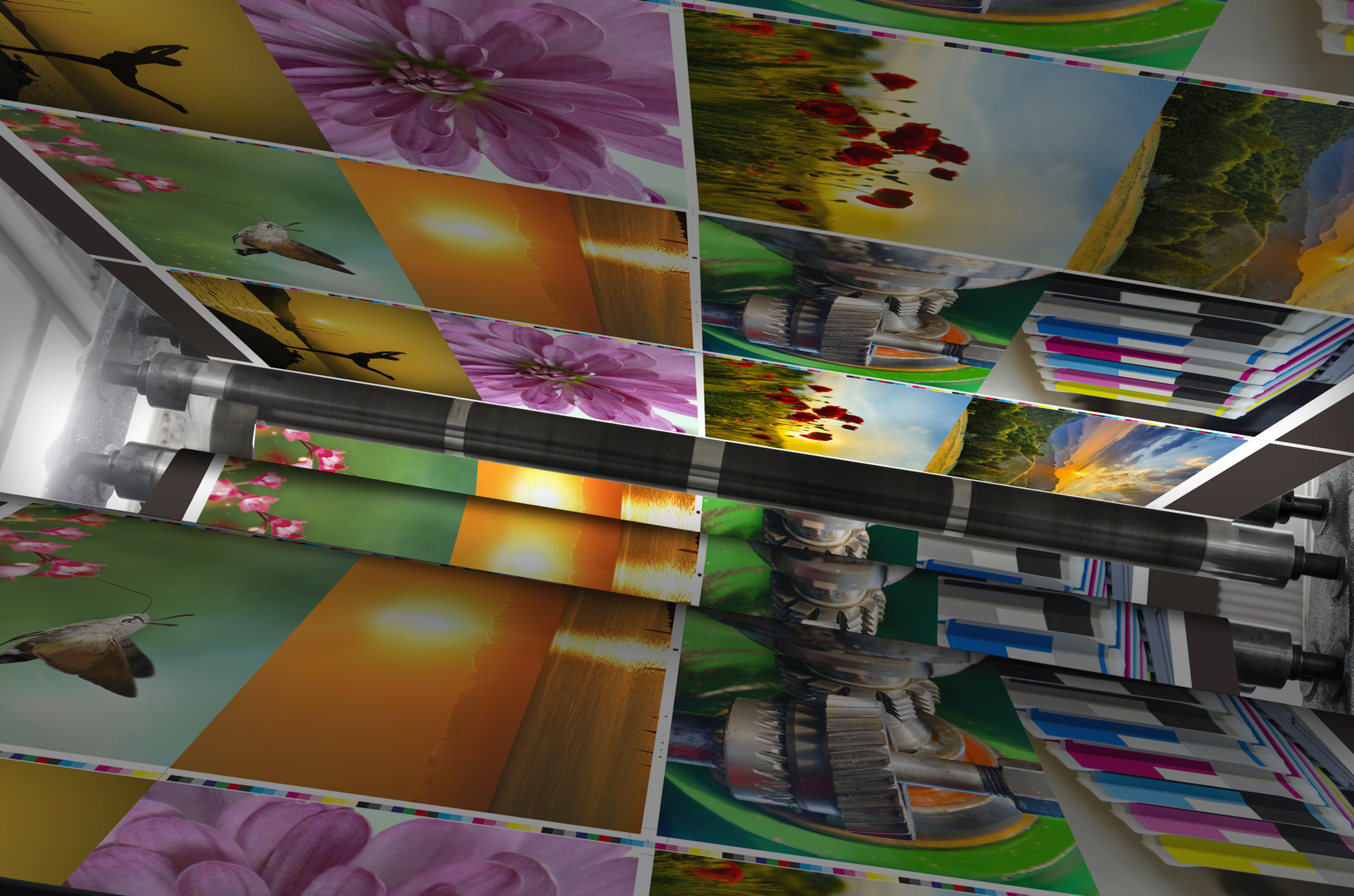 Large Format Printing – Signs, Banners, Displays | AnchorPointe Graphics